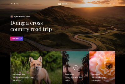 Salient WordPress Theme by ThemeNectar