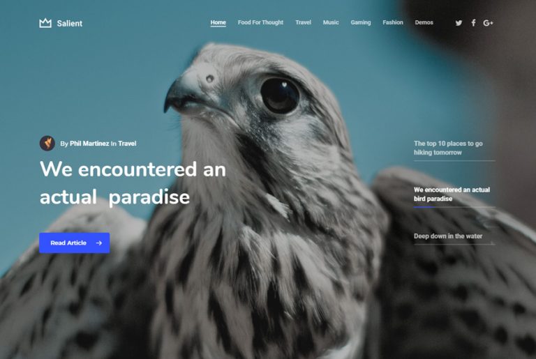 Salient WordPress Theme – Creative & Multipurpose Design