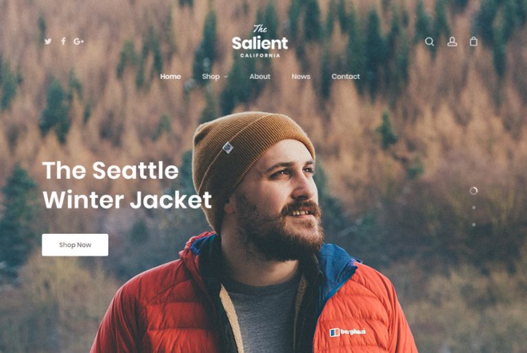 Salient WordPress Theme by ThemeNectar
