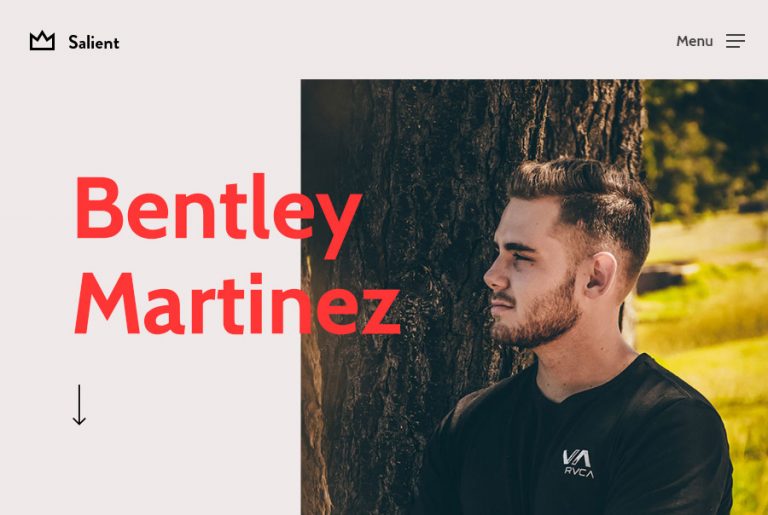 Salient WordPress Theme – Creative & Multipurpose Design