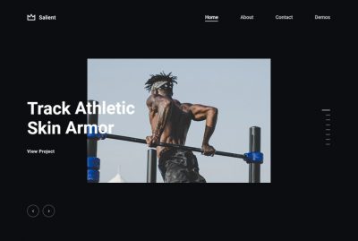 Salient WordPress Theme by ThemeNectar