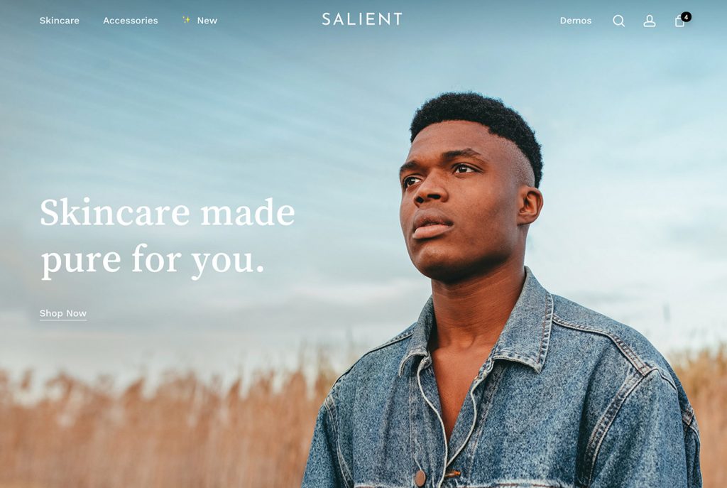 Salient WordPress Theme – Creative & Multipurpose Design